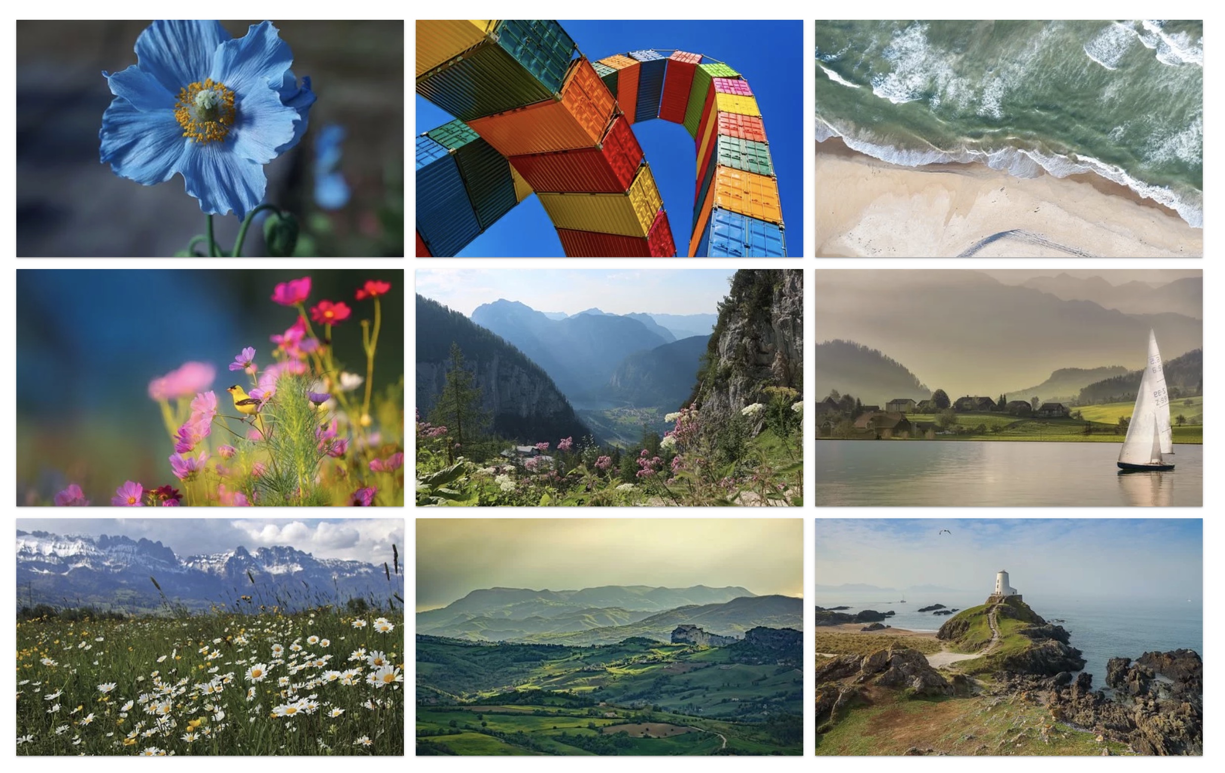 goit-js-hw-08-gallery | https://vladislav-kulachko.github.io/goit-js-hw ... goit-js-hw-08-gallery | https://vladislav-kulachko.github.io/goit-js-hw ...